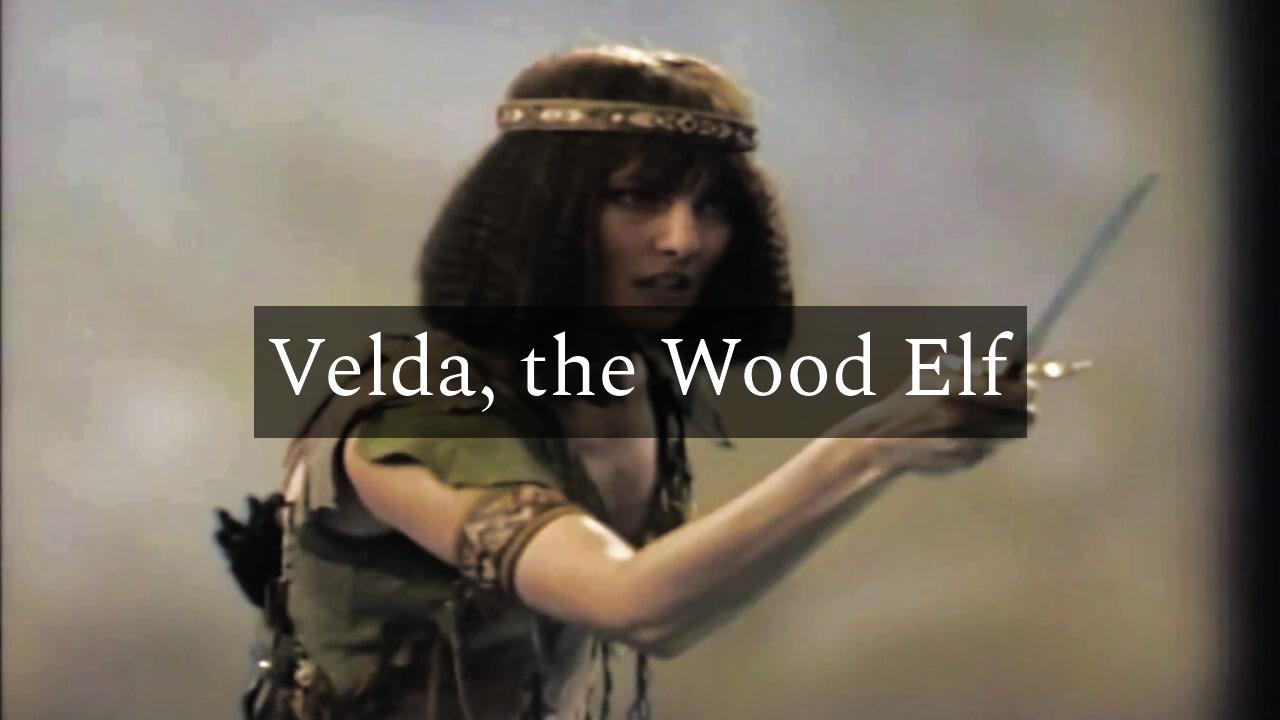 Velda, the Wood Elf | Knightmare.com