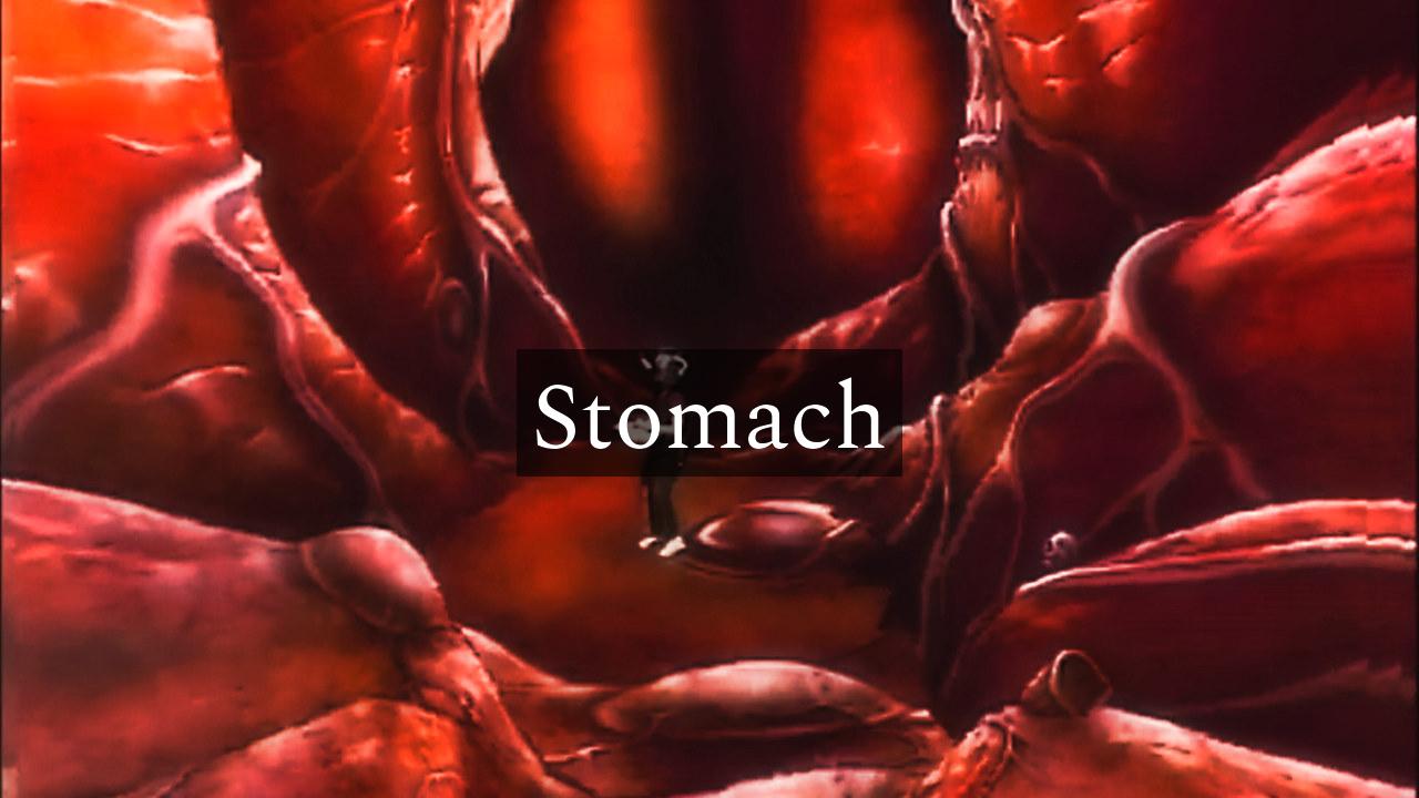 Stomach | Knightmare.com